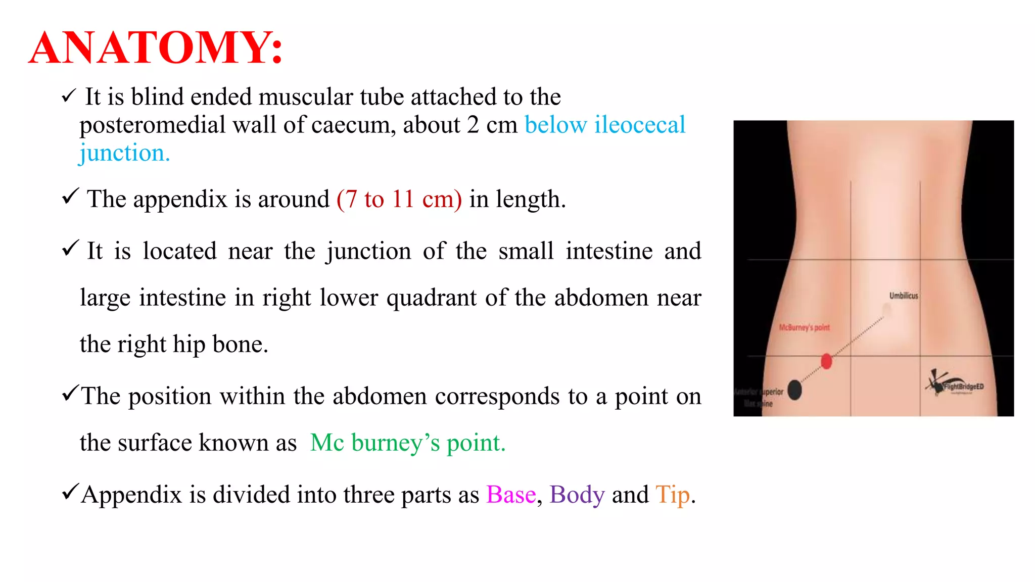 Appendicitis | PPTX