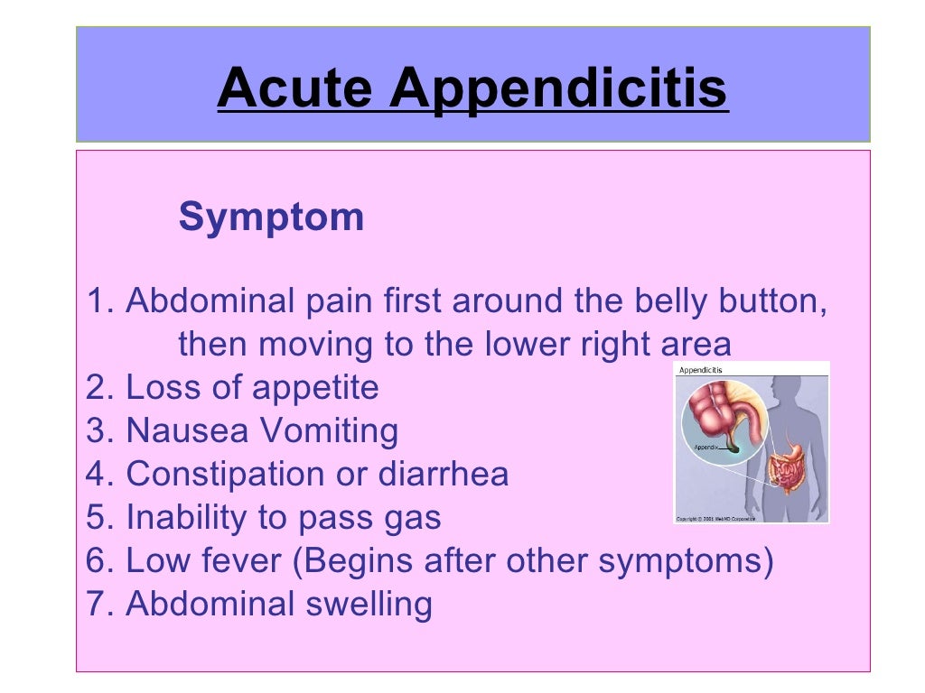 Appendices Meaning