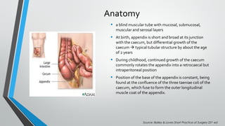 Appendicitis | PPT | Digestive Disorders | Diseases and Conditions