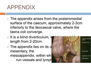 Imaging in Appendicitis | PPTX