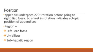 Appendicitis | PPTX | Pregnancy | Reproductive Health