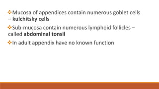 Appendicitis | PPTX | Pregnancy | Reproductive Health