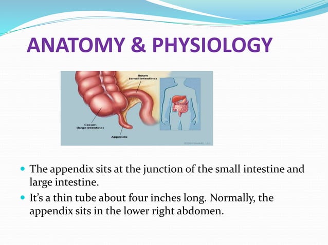 Appendicitis | PPTX | Digestive Disorders | Diseases and Conditions
