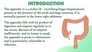 APPENDICITIS.pptx