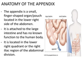 Appendicitis.pptx