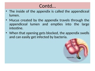An Introduction to Appendicitis and its Management | PPT