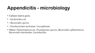 APPENDICITIS power point presentation.pptx