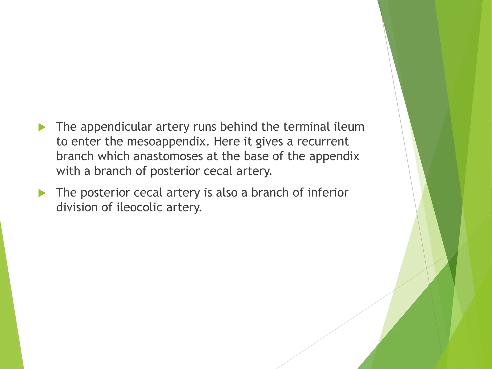 full APPENDICITIS lecture-ANDREW NJAMBA .pptx