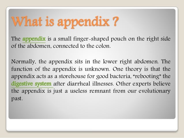 Appendicitis Causes Symptoms Diagnosis Treatment And More