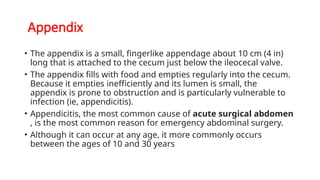 APPENDICITIS Nursing managment[Autosaved].pptx