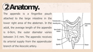 Appendicitis D6.pptx