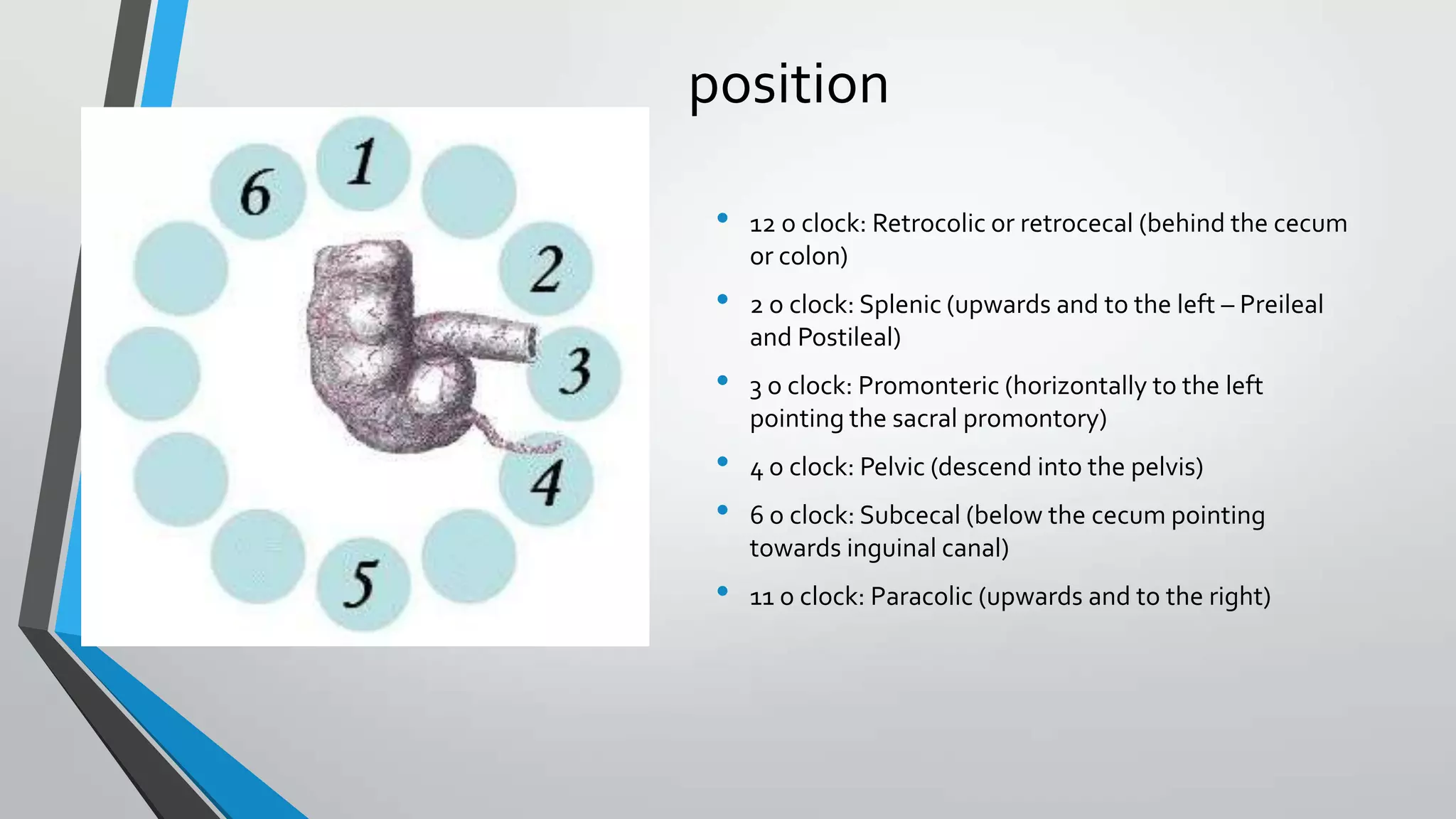 Appendicitis, diverticulitis, peptic ulcer disease, chron's disease | PPT