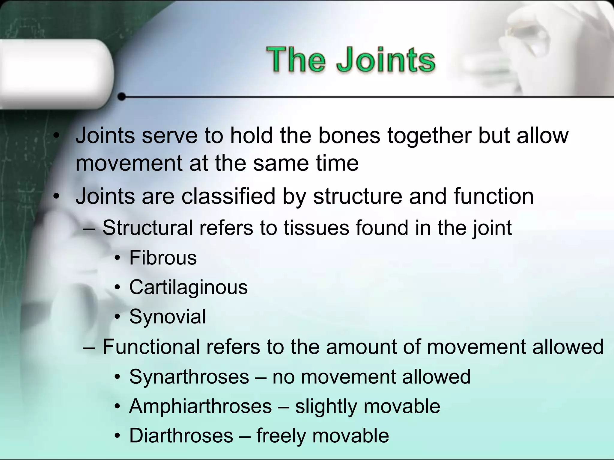 Appendicular Joints | PPT
