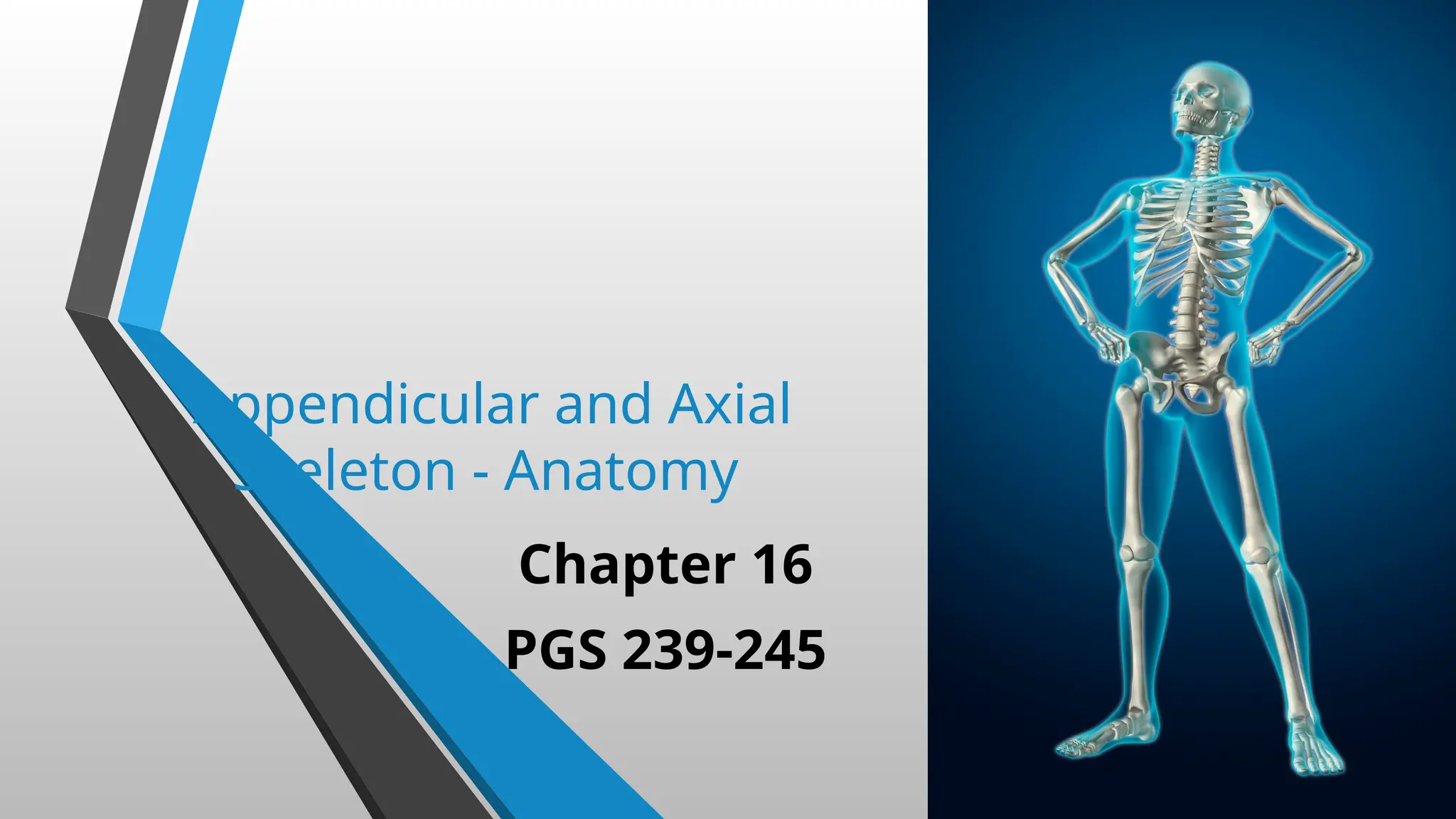 Appendicular and Axial Skeleton - Anatomy.pptx