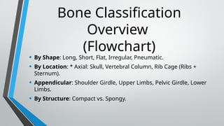 Appendicular and Axial Skeleton - Anatomy.pptx