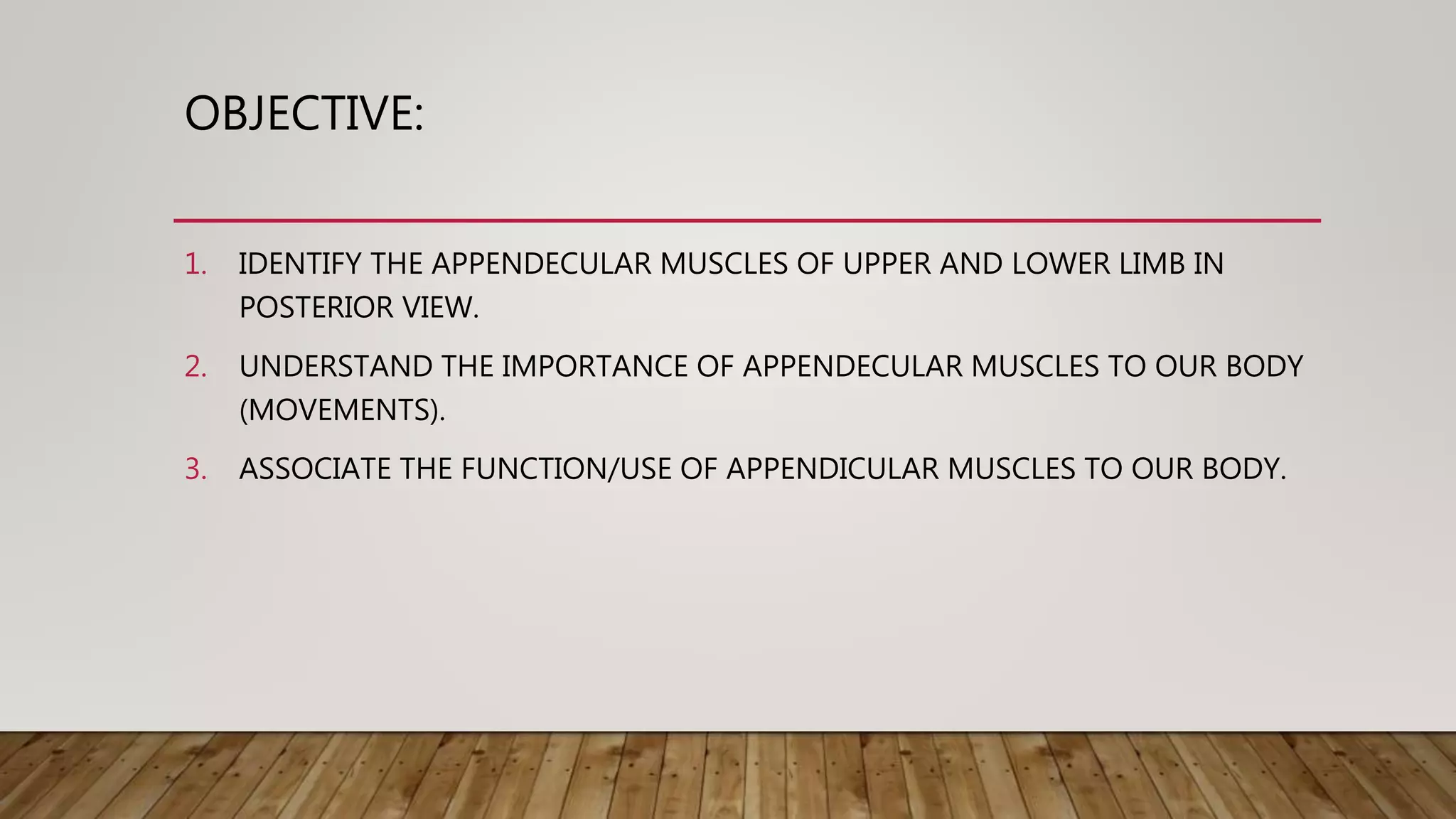 Appendicular muscles-posterior view.pptx