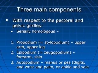 Appendicular skeleton | PPT
