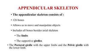 Appendicular skeleton | PPTX