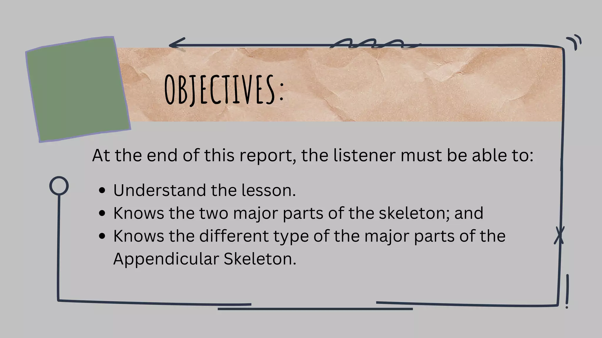 Appendicular Skeleton.pdf