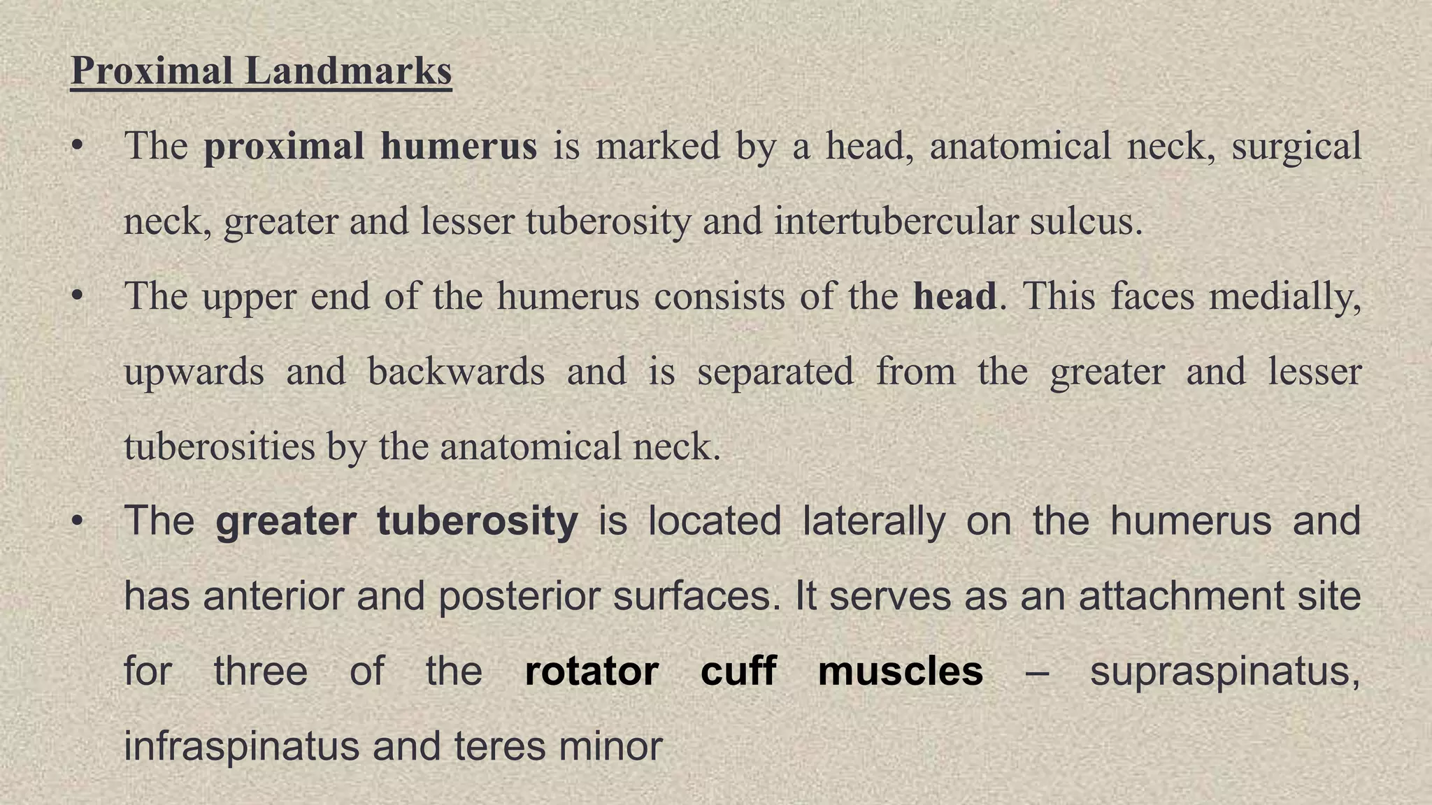 Appendicular Skeleton.pptx