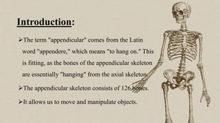 Appendicular Skeleton.pptx