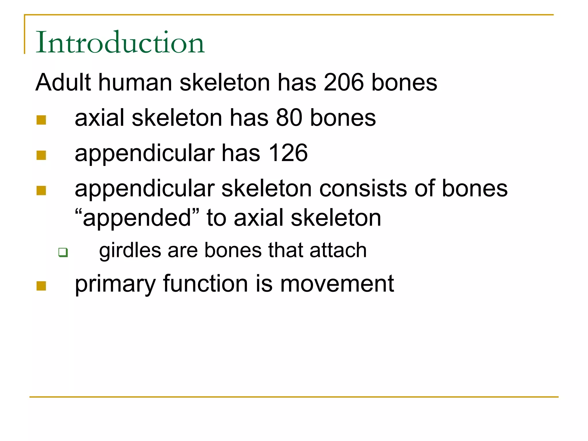 Appendicular skeleton.pptx | Death, Injury, or Military Conflict | Sensitive Topics