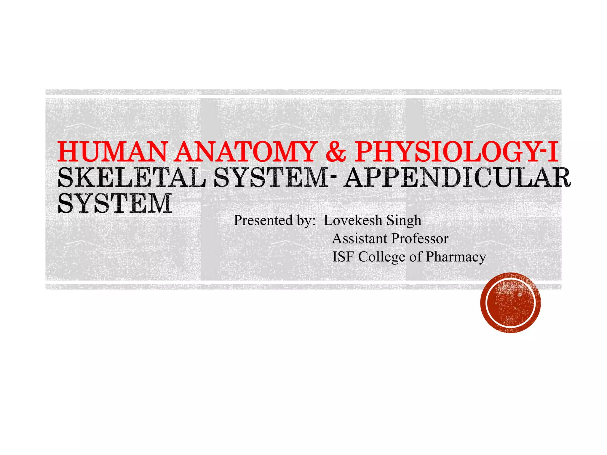 Appendicular Skeleton.ppt
