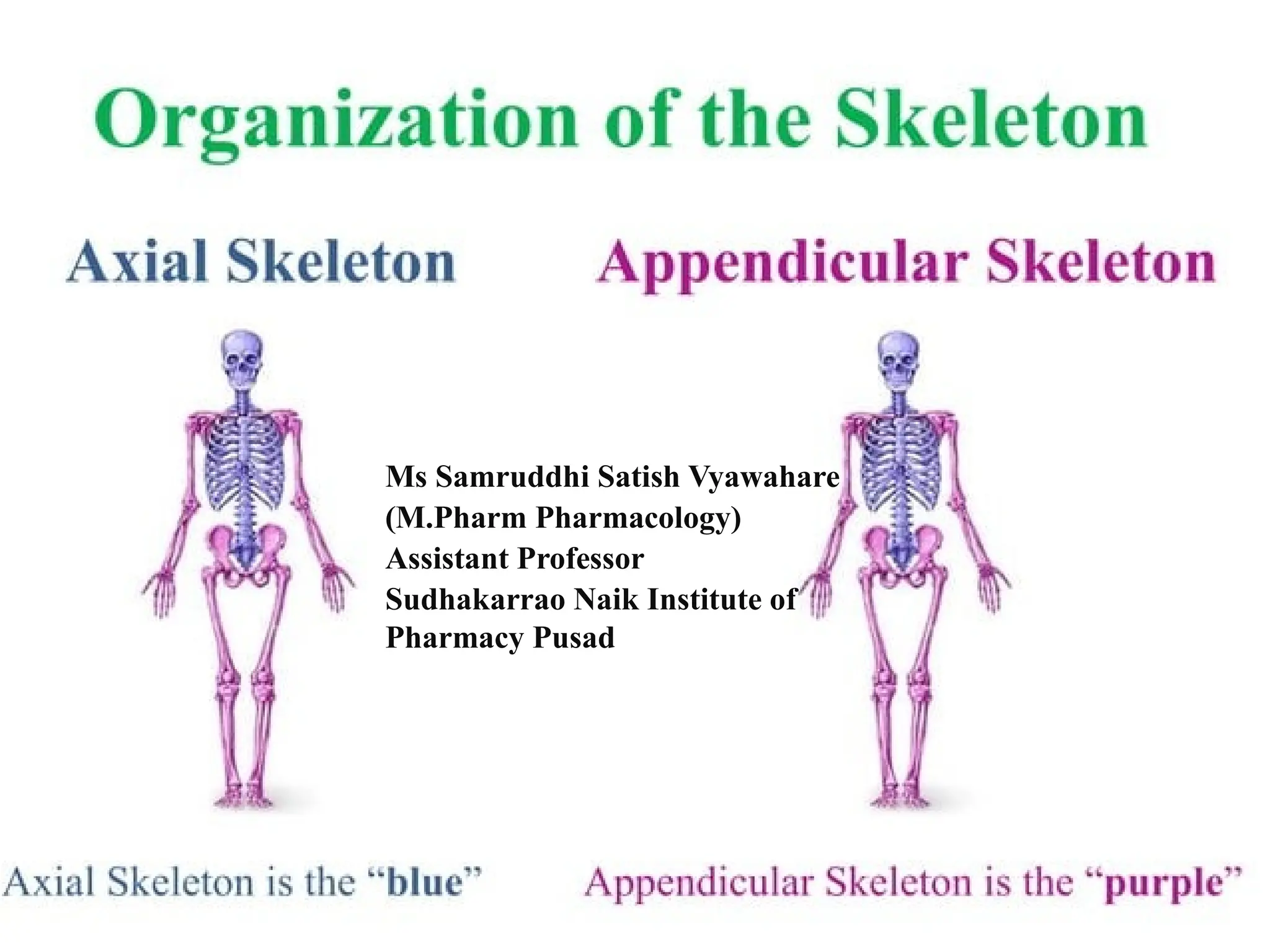 The Appendicular skeleton bones & location | PPT