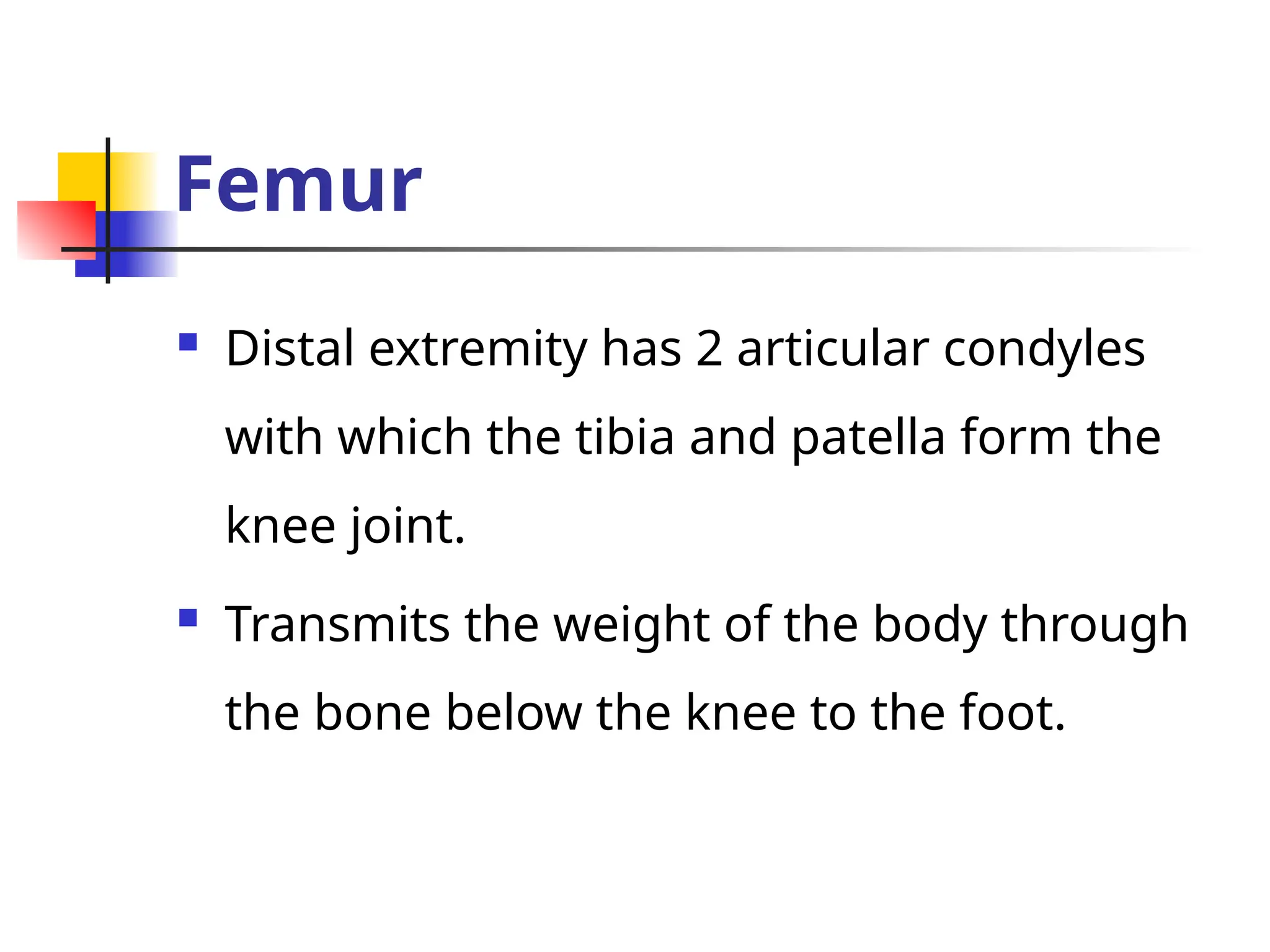 APPENDICULAR SKELETON CK.pptx.@#$_&&_$$# | PPTX