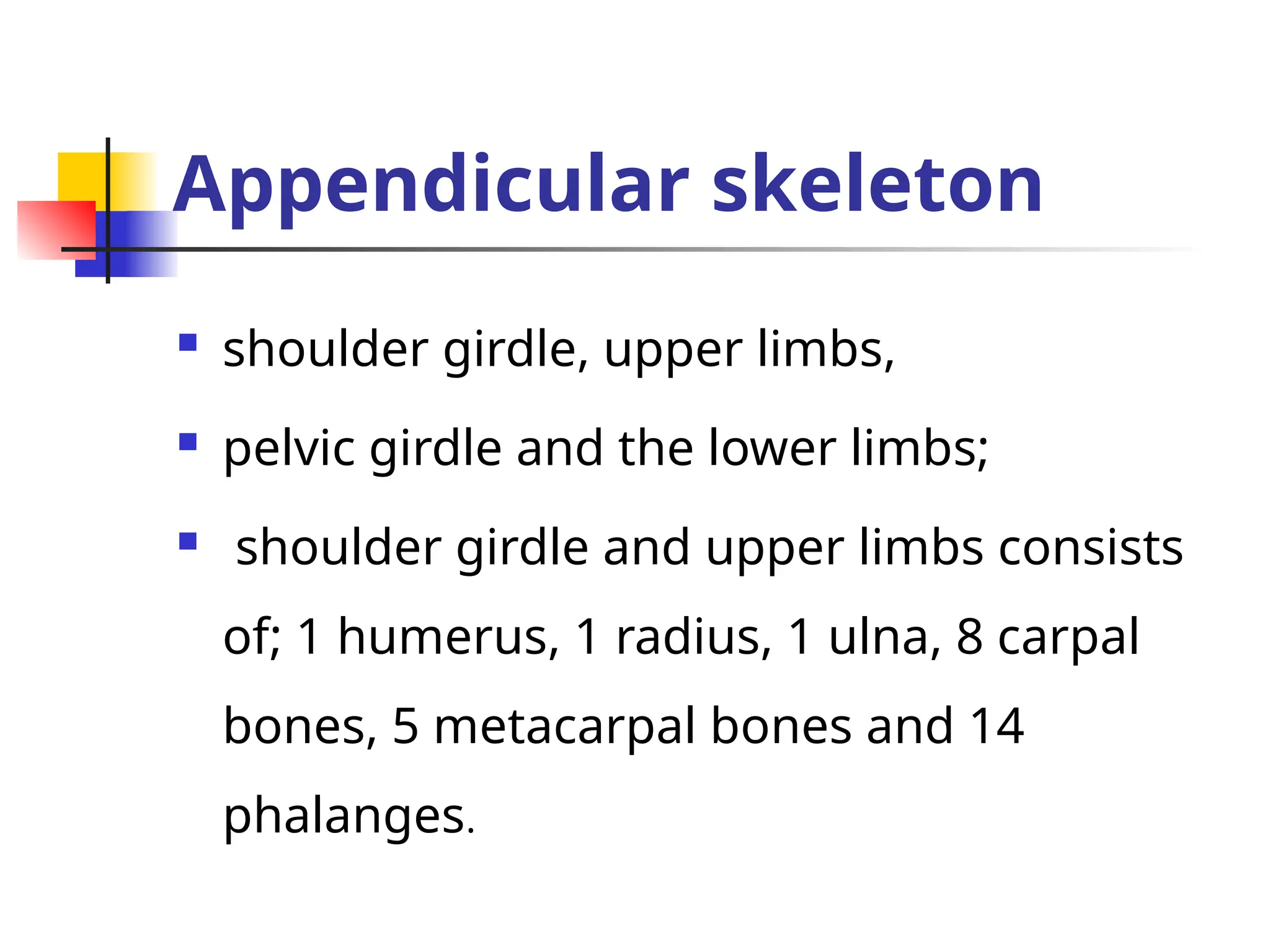 APPENDICULAR SKELETON CK.pptx.@#$_&&_$$# | PPTX