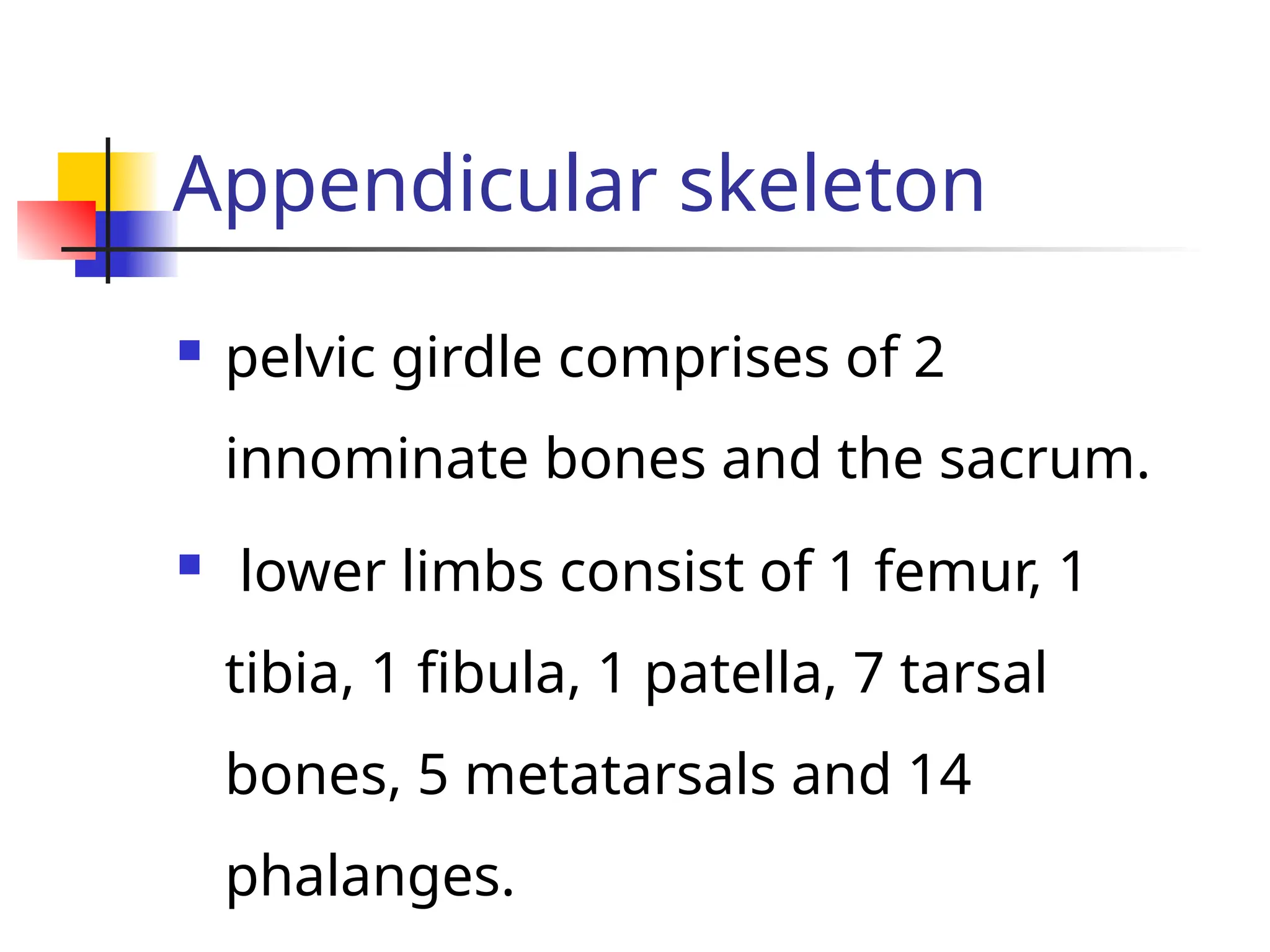 APPENDICULAR SKELETON CK.pptx.@#$_&&_$$# | PPTX