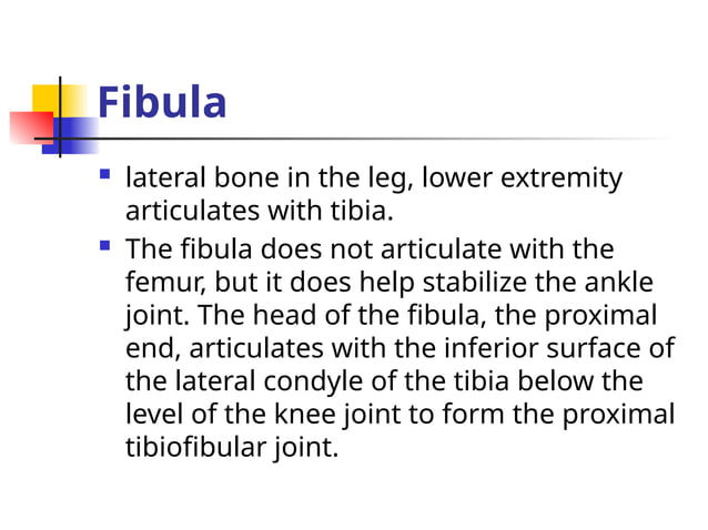 APPENDICULAR SKELETON CK.pptx.@#$_&&_$$# | PPT