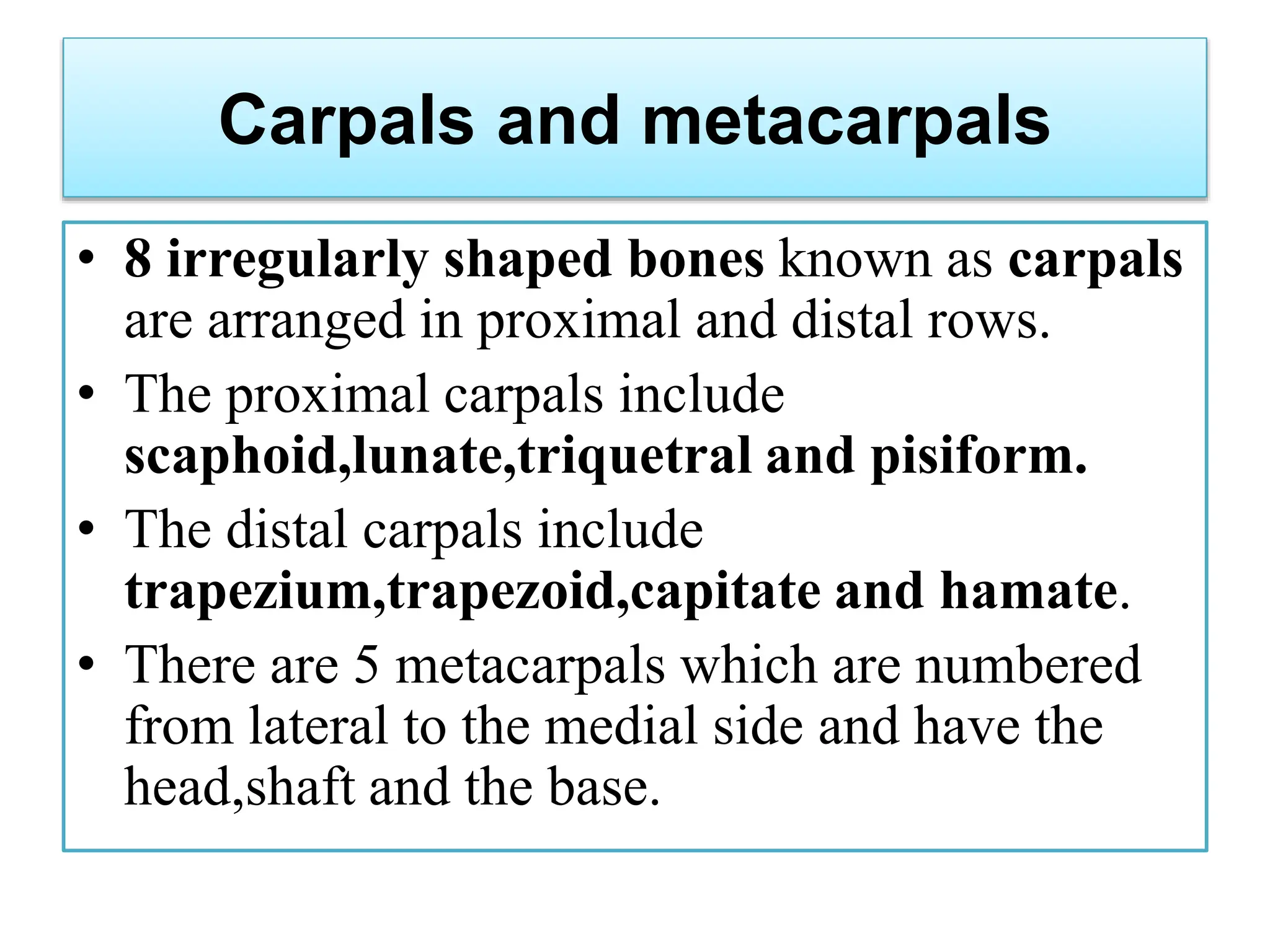 Appendicular SkeletonSystem PPT.....pptx