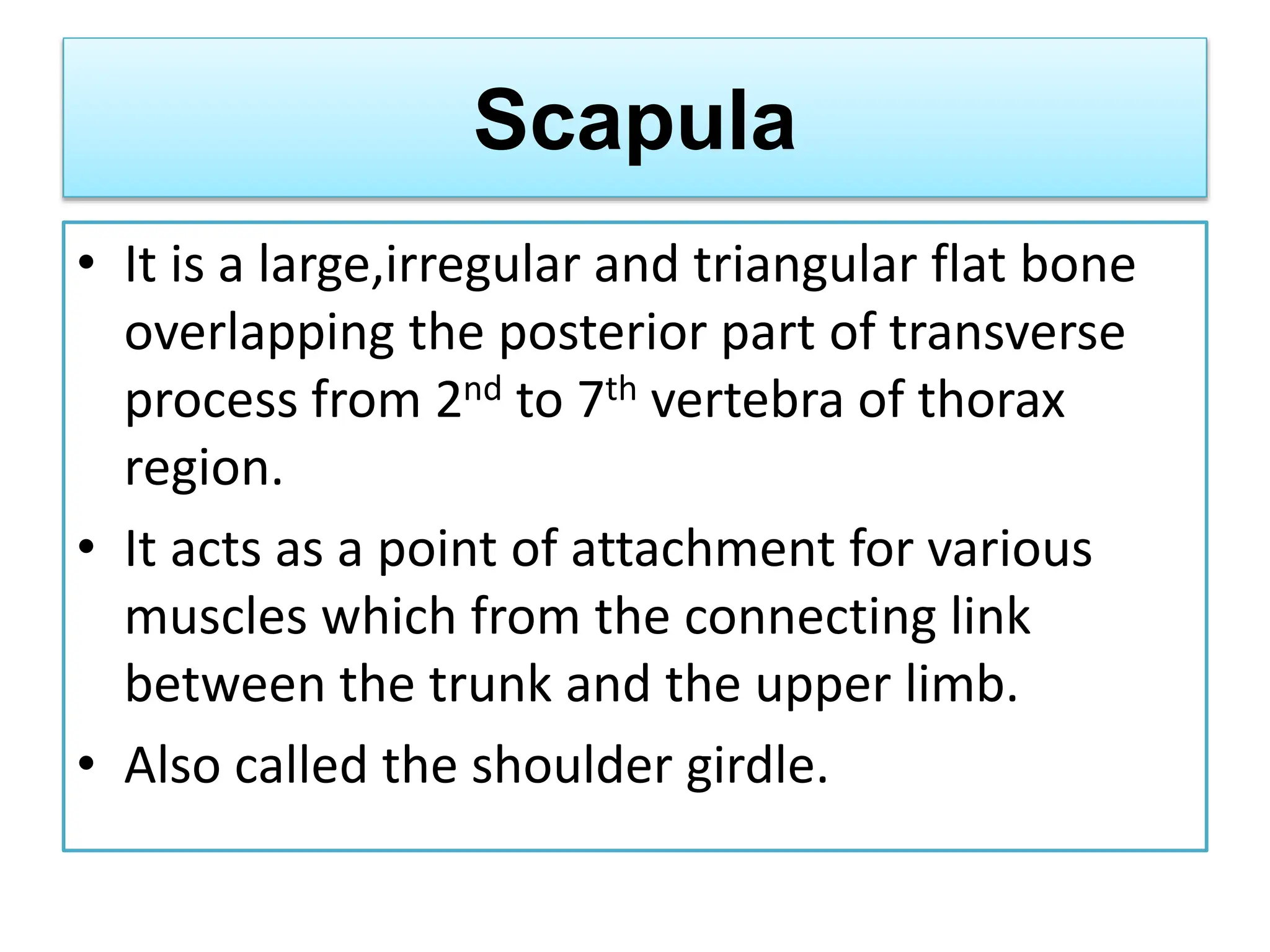 Appendicular SkeletonSystem PPT.....pptx