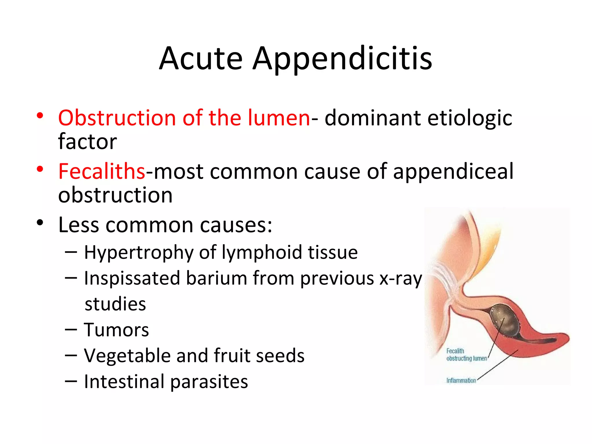 Appendix | PPT