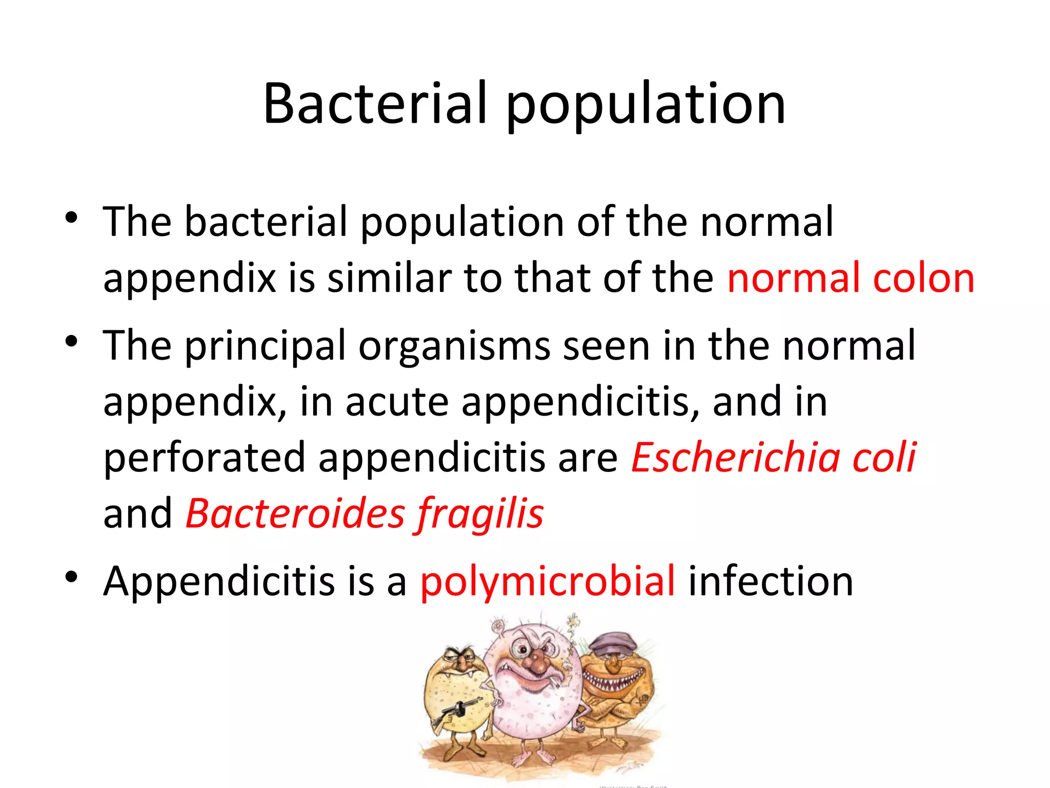 Appendix | PPT