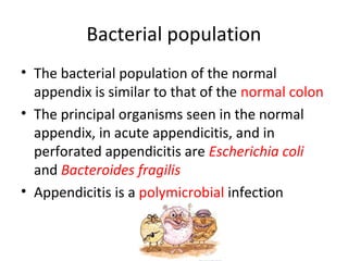 Appendix | PPT