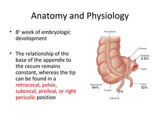Appendix | PPT