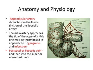 Appendix | PPT