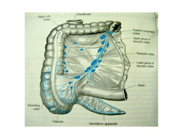 Appendix