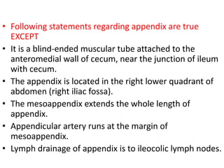 Appendix | PPTX