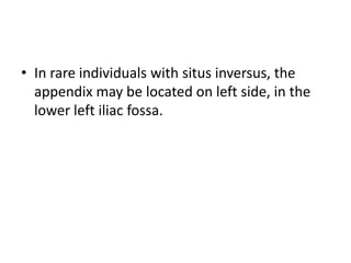 Appendix | PPTX