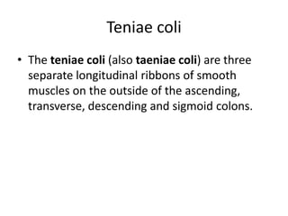 Appendix | PPTX