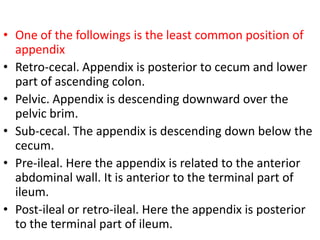 Colon After Appendix Number _ Colon Cancer Survival Rates by Stage ...