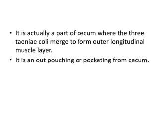 Conversion Of Taeniae Coli