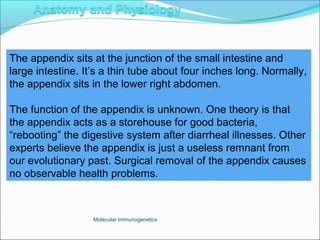 Appendix IN IMMUNOLOGY | PPT