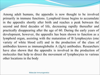 Appendix IN IMMUNOLOGY | PPT