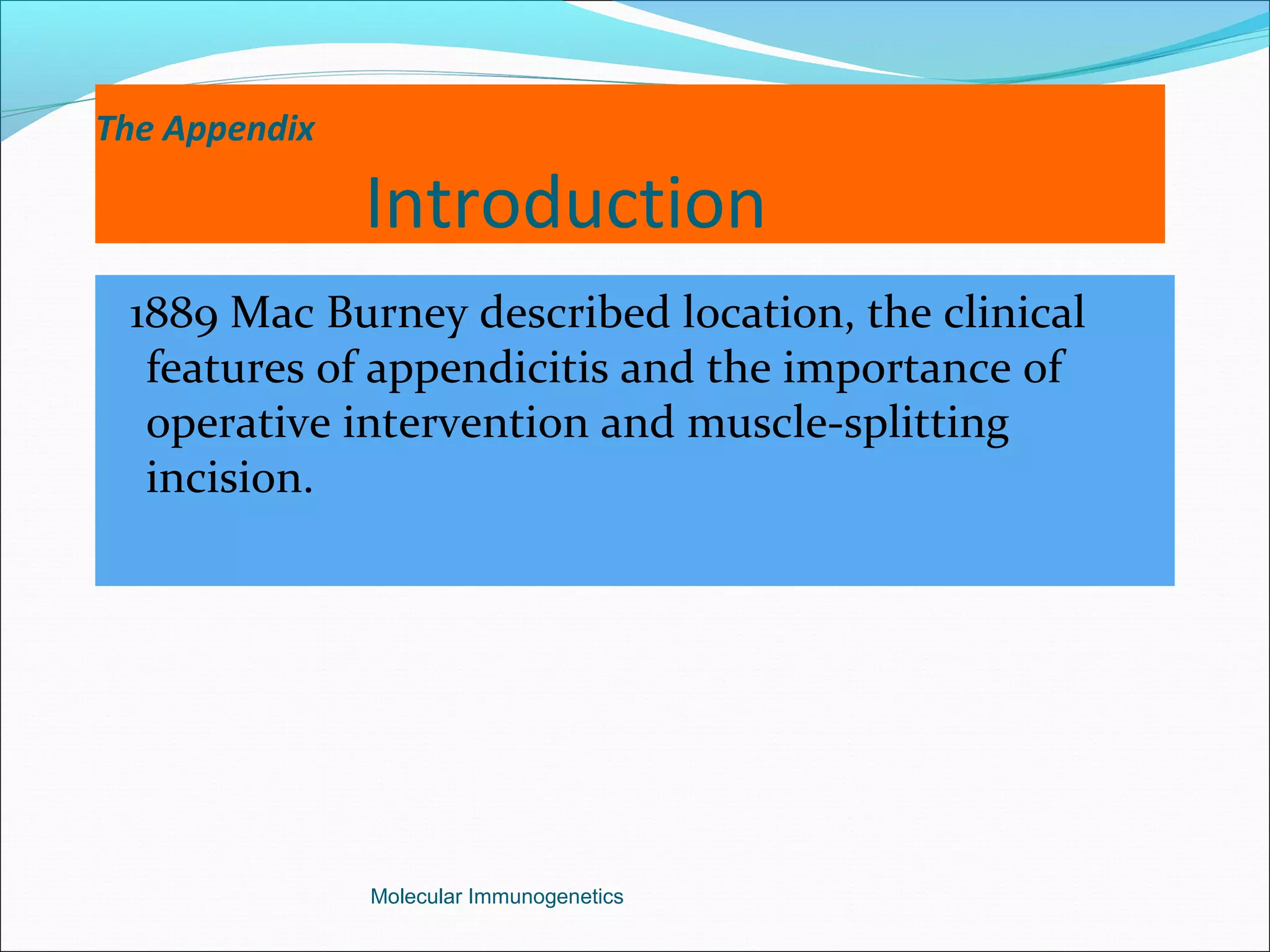 Appendix | PPT