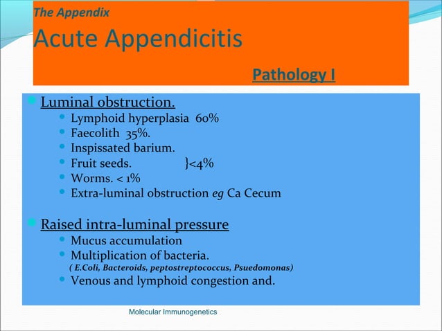 Appendix | PPT