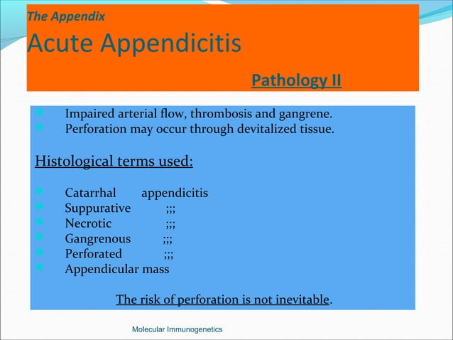 Appendix | PPT
